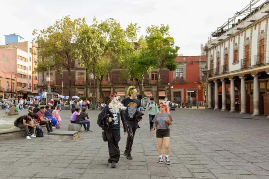 LGBTQ Walking Tour - MxCity for the Girls, Gays & They's - Who This Tour Is Best For