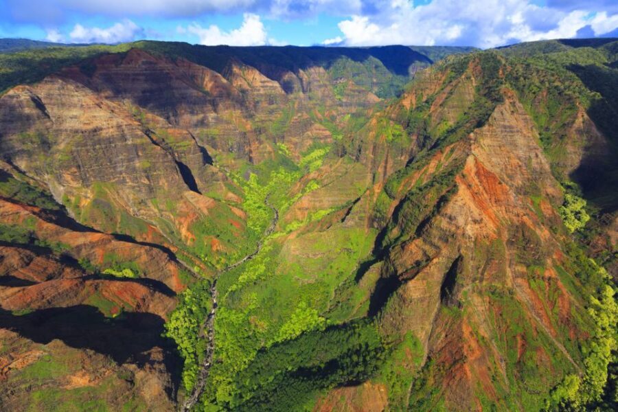 Lihue: Deluxe Waterfall Safari Helicopter Tour - Authentic Feedback from Travelers
