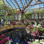 Lincoln Park Nature Museum & Zoo Private Walking Tour - The Iconic Lincoln Park Zoo