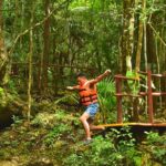 Live the adventure in 3 cenotes in the jungle! - How the Itinerary Unfolds