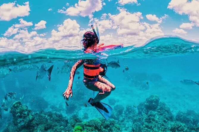 Live this unique snorkeling experience. El Cielo in Cozumel a magical tour. - The Good, the Bad, and the Practical
