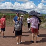 Local Vineyard Tour & Wine Tasting at the Independence Valley - The Vineyard & the Grounds