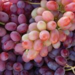 Lodi: Wine Tasting Tour Private Customized 1 -14 Group - The Highlights of the Experience