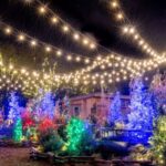 Longwood Gardens Holiday Lights Tour from Philadelphia - The Itinerary: What You Can Expect