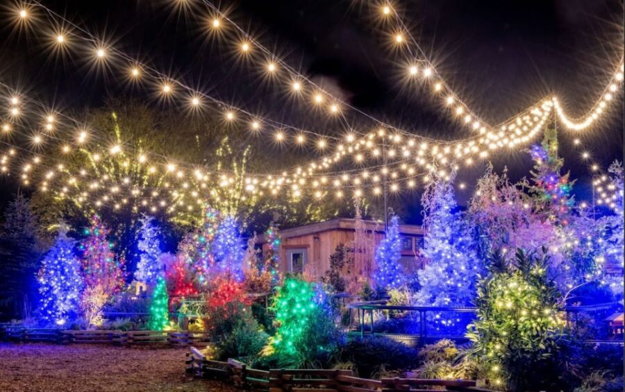 Longwood Gardens Holiday Lights Tour from Philadelphia - The Itinerary: What You Can Expect