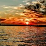 Los Angeles #1: Luxury Boat Cruise-Wine, Cheese & Sea Lions - Why This Tour Is Worth It