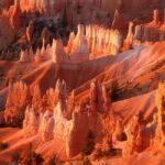 Los Angeles: 10-Day Yellowstone National Park Round Tour - What Makes This Tour Special