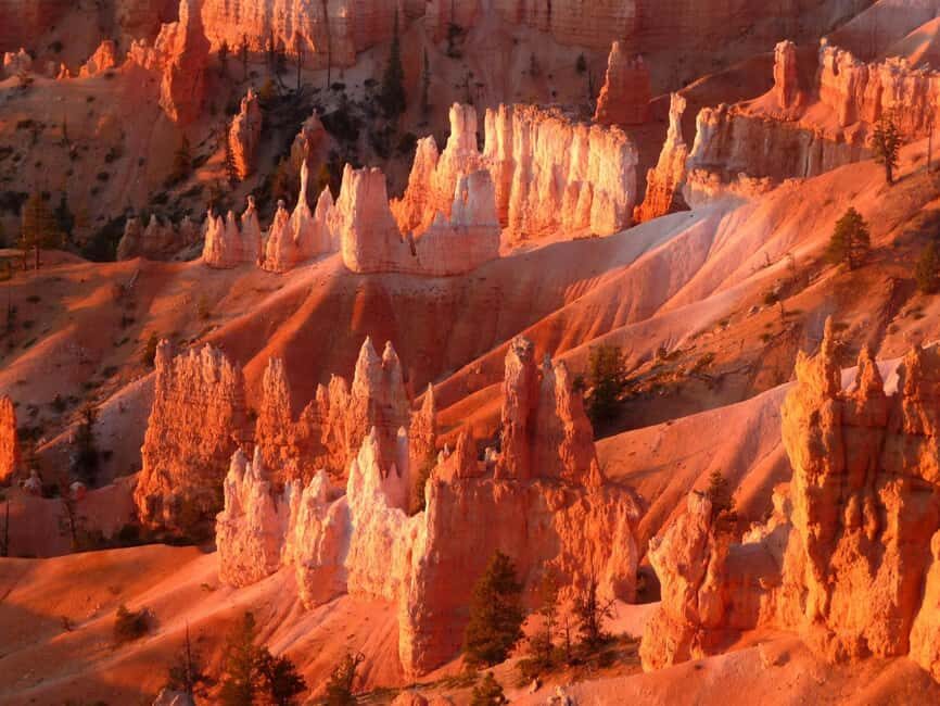 Los Angeles: 10-Day Yellowstone National Park Round Tour - What Makes This Tour Special