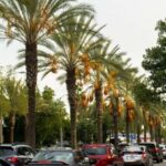 Los Angeles: 3-Hour Private Driving Tour w/ Local Guide - The Experience: What Makes It Stand Out?