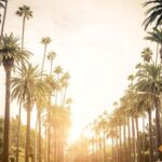 Los Angeles 4-Hour Private Tour: Beverly Hills & More - Exploring the Heart of Los Angeles in 4 Hours