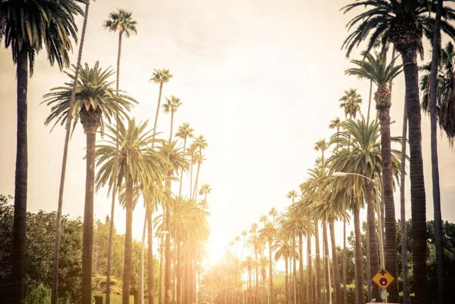 Los Angeles 4-Hour Private Tour: Beverly Hills & More - Exploring the Heart of Los Angeles in 4 Hours