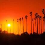 Los Angeles: 7-Hours City & Beach Tour With Hotel Pick Up - What Is Included and What Isn’t