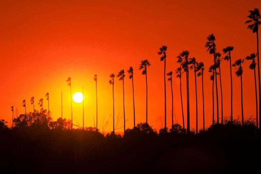 Los Angeles: 7-Hours City & Beach Tour With Hotel Pick Up - What Is Included and What Isn’t