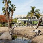 Los Angeles: La Brea Tar Pits Museum Ticket - Conclusions: Who Should Visit?