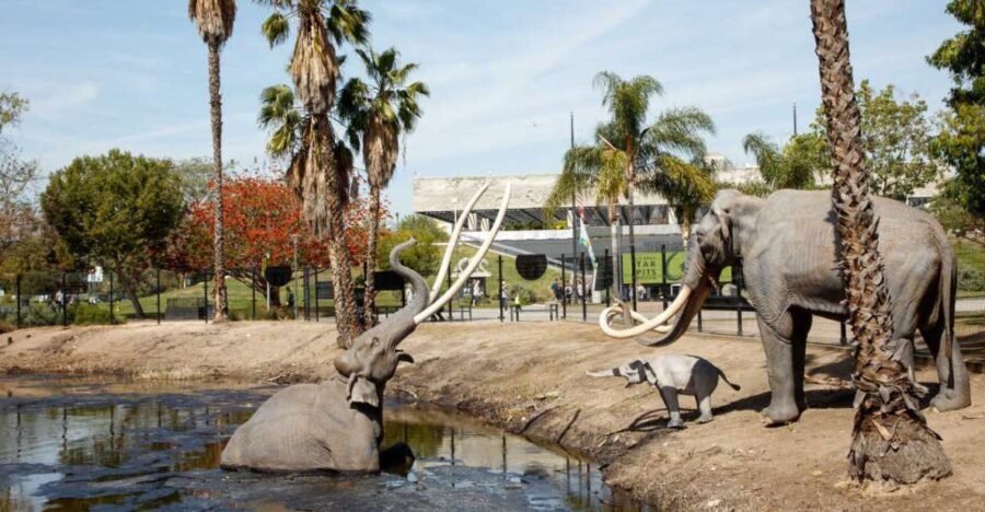 Los Angeles: La Brea Tar Pits Museum Ticket - Conclusions: Who Should Visit?