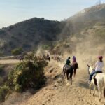 Los Angeles: Mulholland Trail Horseback Riding Tour - Final Thoughts