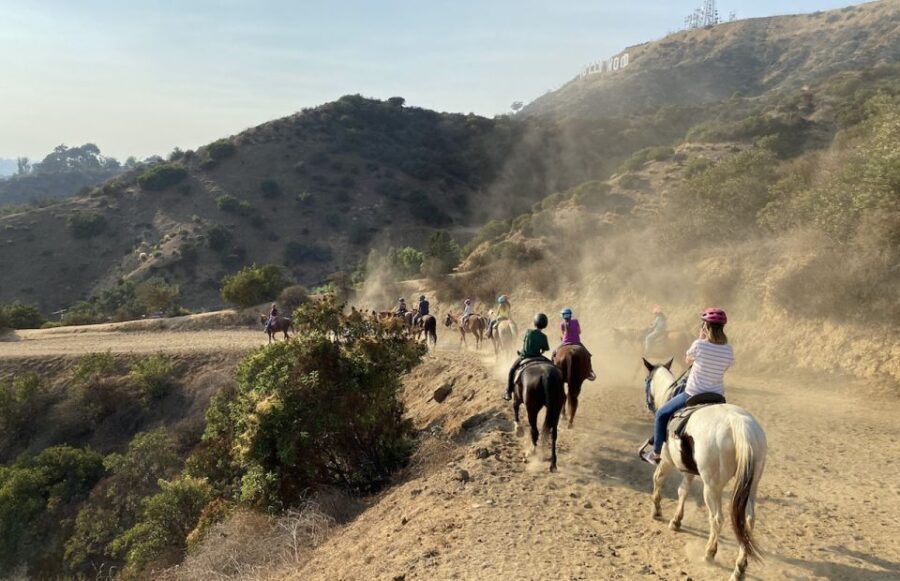 Los Angeles: Mulholland Trail Horseback Riding Tour - Final Thoughts