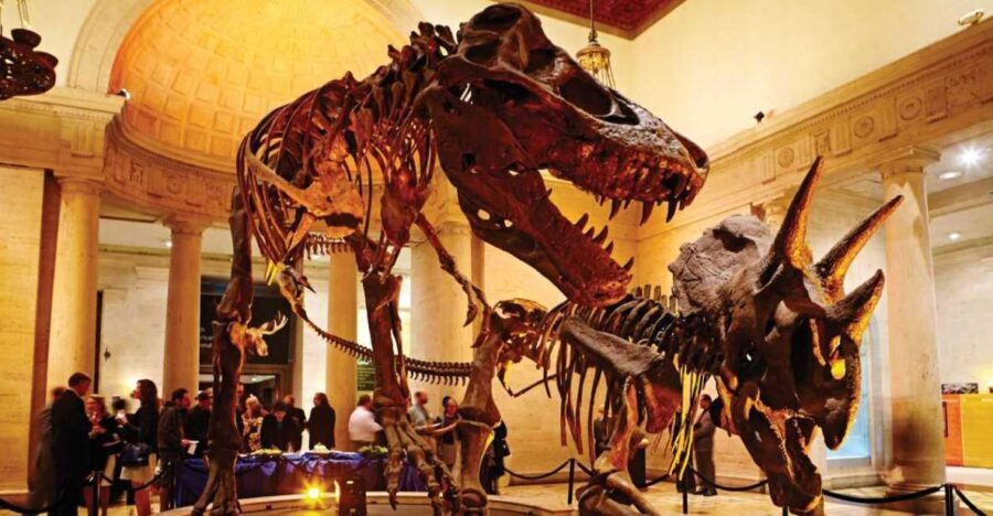 Los Angeles: Natural History Museum of LA Entry Ticket - Who Would Love This Museum?