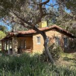 Los Angeles/Orange County: Carlsbad Seaside Village Tour - Practical Details and Value