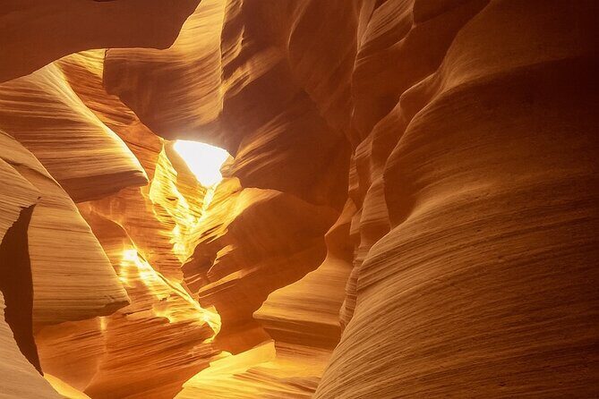 Los Angeles to Las Vegas Yellowstone National Park 7 Day Tour - Who Will Enjoy This Tour?