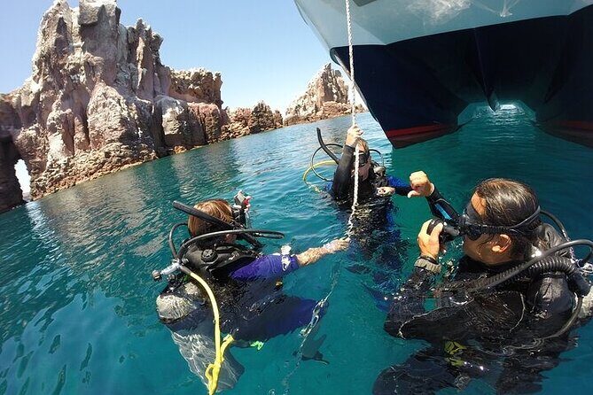 Los Cabos 1 tank dive to Lands End (Certified Divers) - Who Should Consider This Tour?