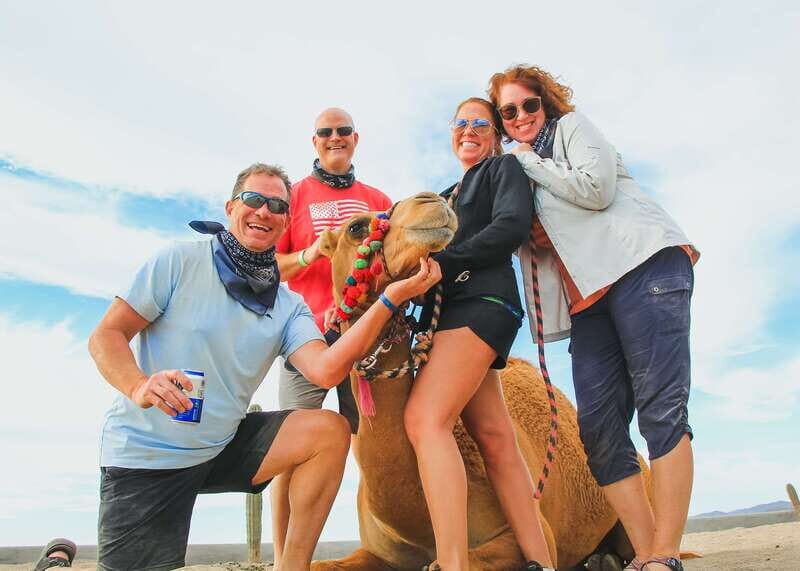 Los Cabos: 2 in 1 Combo Tour - What to Expect from This Tour