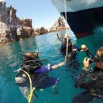 Los Cabos 2 tanks dive to The Corridor (Certified divers) - Frequently Asked Questions