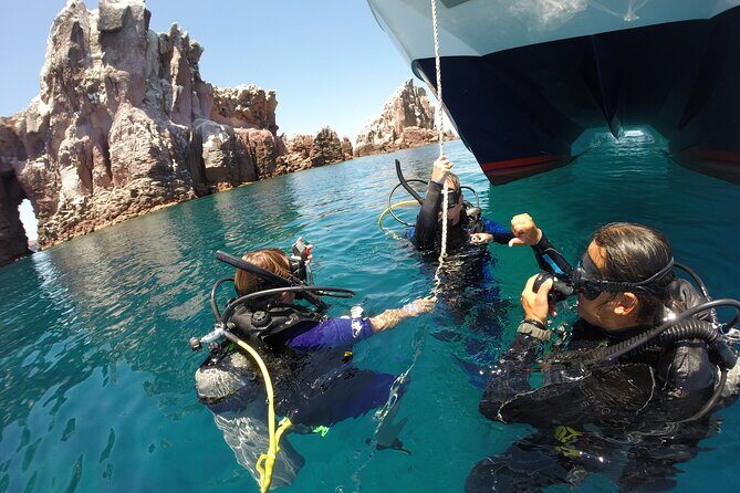 Los Cabos 2 tanks dive to The Corridor (Certified divers) - Frequently Asked Questions
