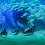 Los Cabos: 3-Hour Introductory Scuba Diving Adventure - The Itinerary: Step-by-Step