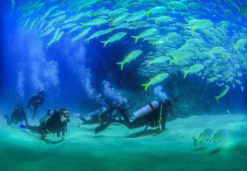 Los Cabos: 3-Hour Introductory Scuba Diving Adventure - The Itinerary: Step-by-Step