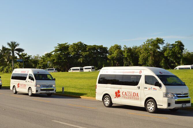 Los Cabos Airport Transportation - Deep Dive: What to Expect from Your Transfer
