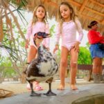 Los Cabos: Animal Encounter & Aqua Park Adventure - Price & Value Breakdown
