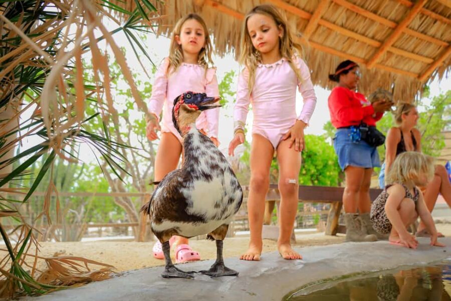 Los Cabos: Animal Encounter & Aqua Park Adventure - Price & Value Breakdown