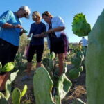 Los Cabos: Azteca Cactus Taco Farm to Table Cooking Class - A Detailed Look at the Experience