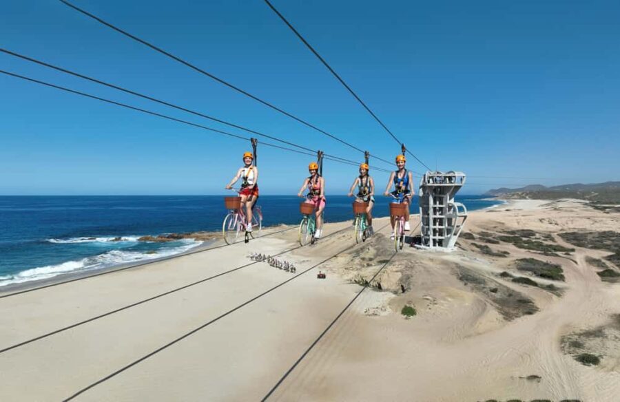 Los Cabos: Cactus Day Pass - Authenticity and Value