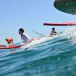 Los Cabos: Costa Azul Private Surf Lesson with Transfer - Why This Tour Offers Good Value