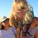 Los Cabos: Desert & Sea Camel Safari Tour with Lunch - Practical Details: What You Need to Know