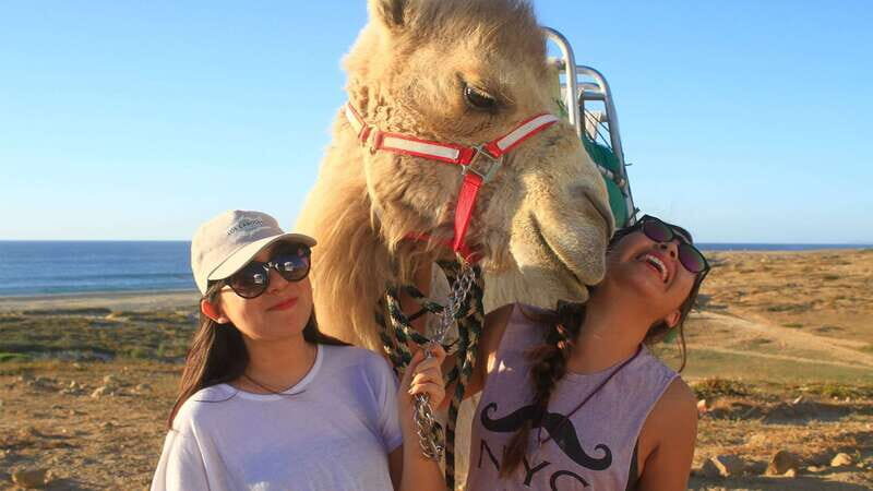 Los Cabos: Desert & Sea Camel Safari Tour with Lunch - Practical Details: What You Need to Know