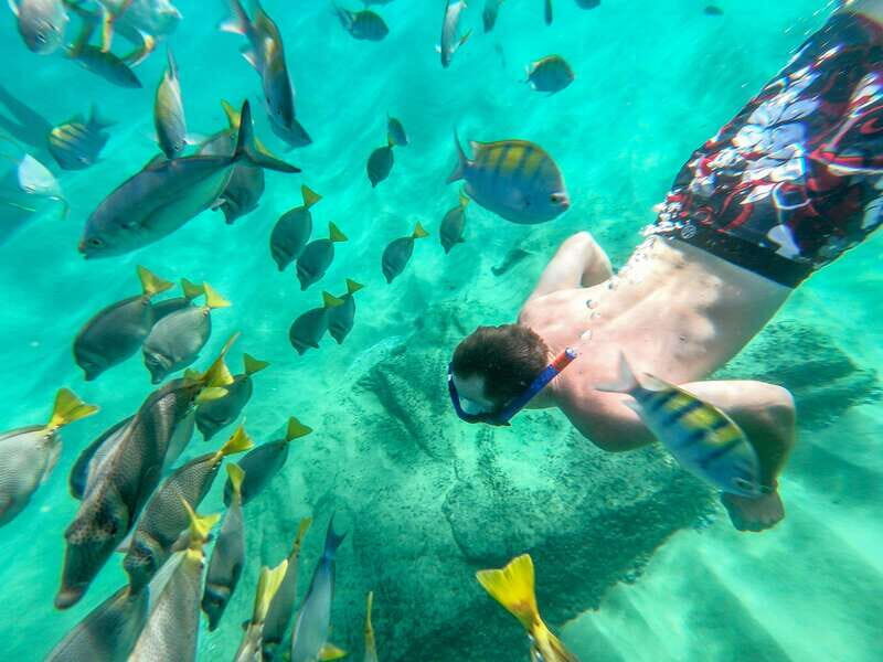 Los Cabos: El Arco, Chileno Beach, and Tequila Tasting Tour - What to Expect from the Whole Experience