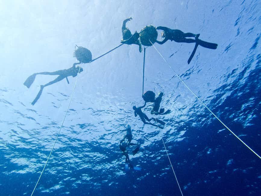 Los Cabos: freediving sessions - The Itinerary Explained