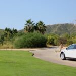 Los Cabos Luxury Tesla Transfer from Airport to San José del Cabo Area - What to Expect: The Details