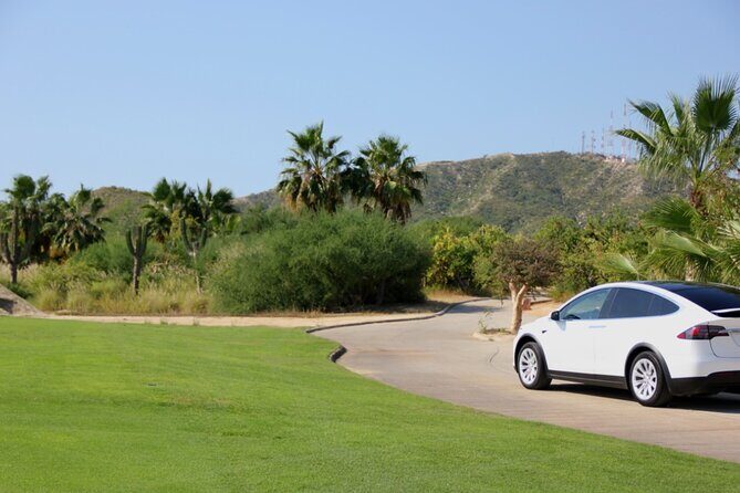 Los Cabos Luxury Tesla Transfer from Airport to San José del Cabo Area - What to Expect: The Details