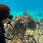 Los Cabos Open Water Diver Course - Day 2: Confident in the Water