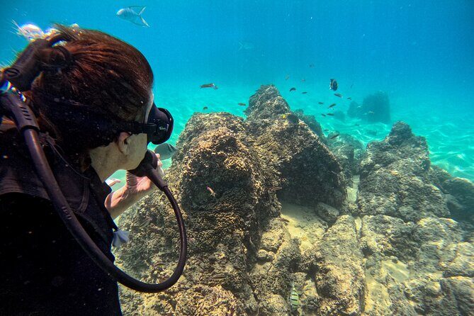 Los Cabos Open Water Diver Course - Day 2: Confident in the Water