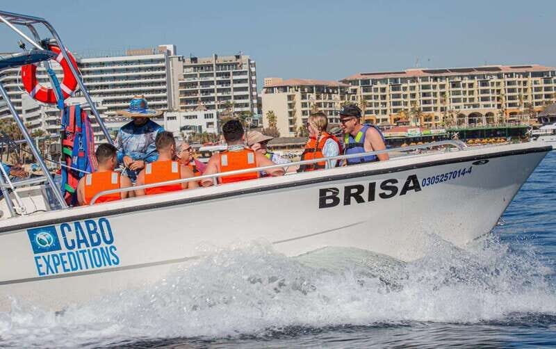 Los Cabos: Parasailing, a new perspective from the skies. - Authentic Experiences and Traveler Insights