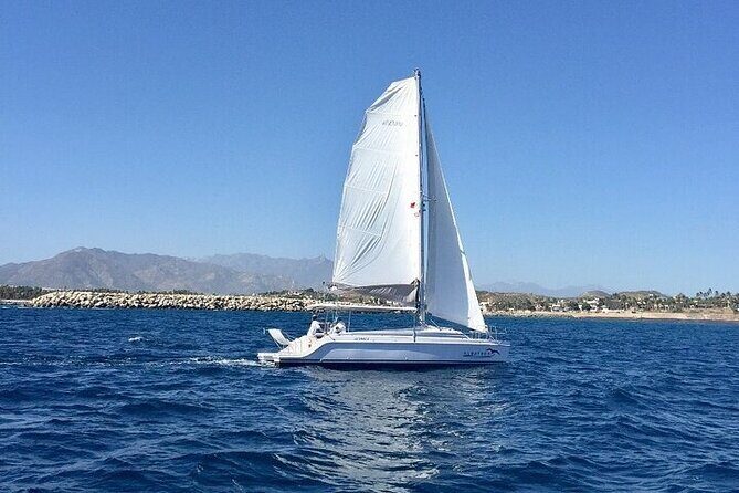 Los Cabos Platinum Snorkel Experience - Who Will Love This Tour?