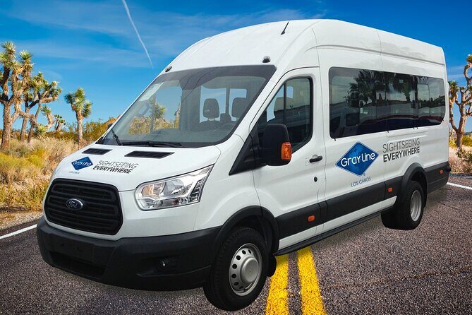 Los Cabos Private Mini-van Round-Trip Transfer - What Travelers Say: The Real Experience