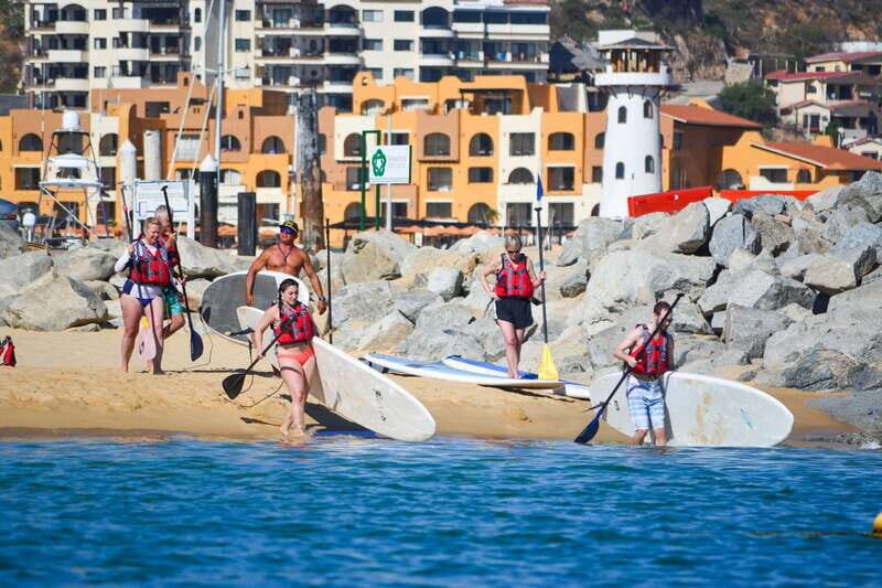 Los Cabos: Private Paddleboarding and Snorkeling Tour - What to Expect and Practical Tips