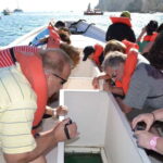 Los Cabos: San Jose and San Lucas Trip with Lunch - Exploring the Detailed Itinerary