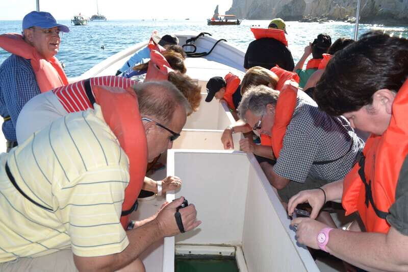 Los Cabos: San Jose and San Lucas Trip with Lunch - Exploring the Detailed Itinerary